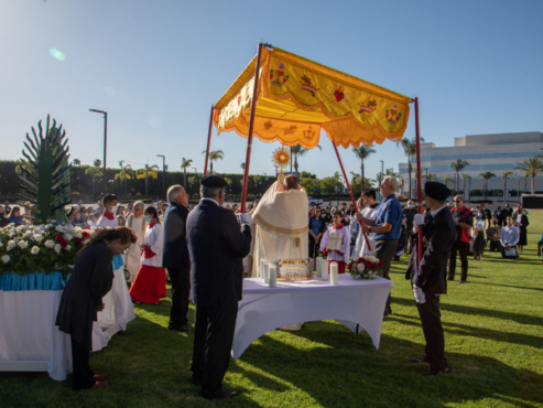 THE EUCHARIST: A REFLECTION | OC Catholic